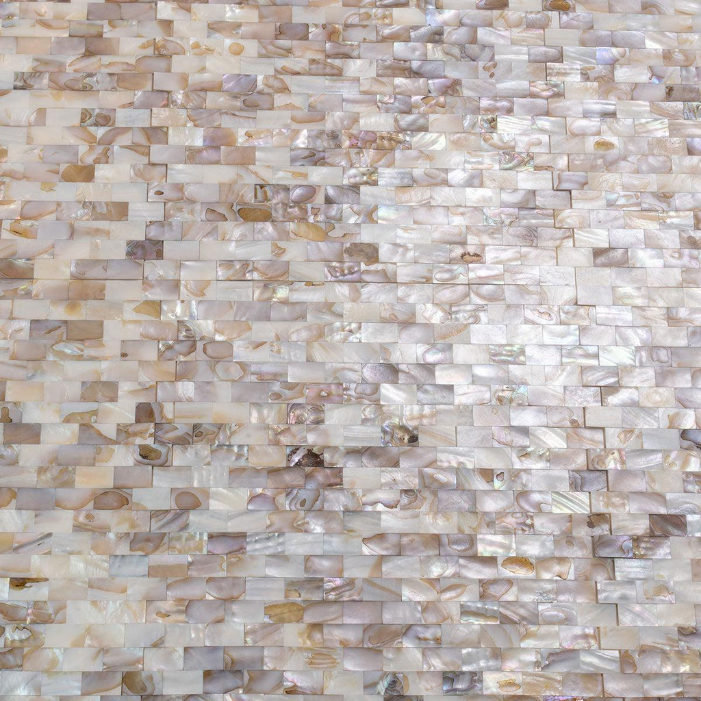 Seashell Dreams Brick Mosaic Tile | Tile Club