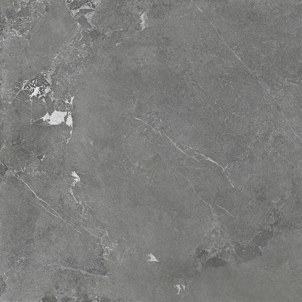 Hoover Graphite Marble 24x24 Porcelain Tile Sample | Tile Club