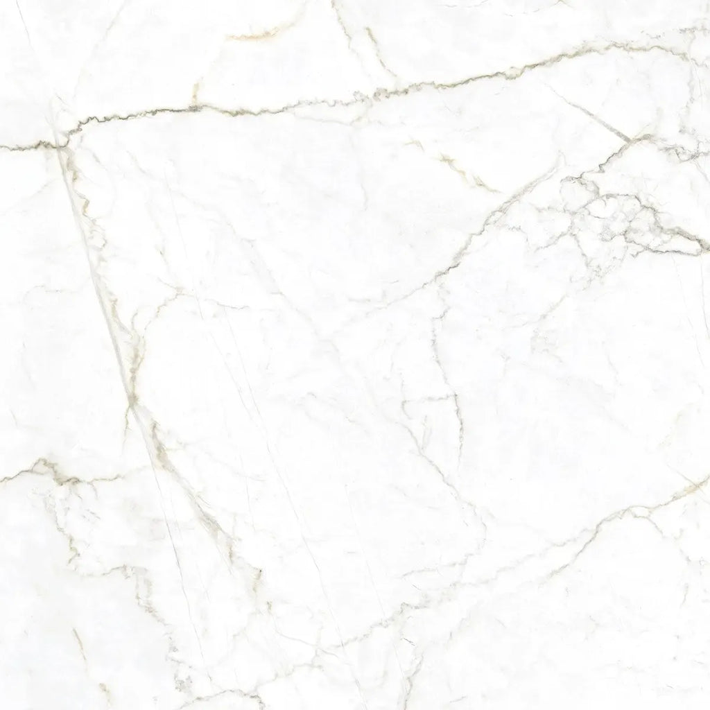 Emporio Natural White Marble Porcelain Tile 48x48 Sample Swatch | Free ...