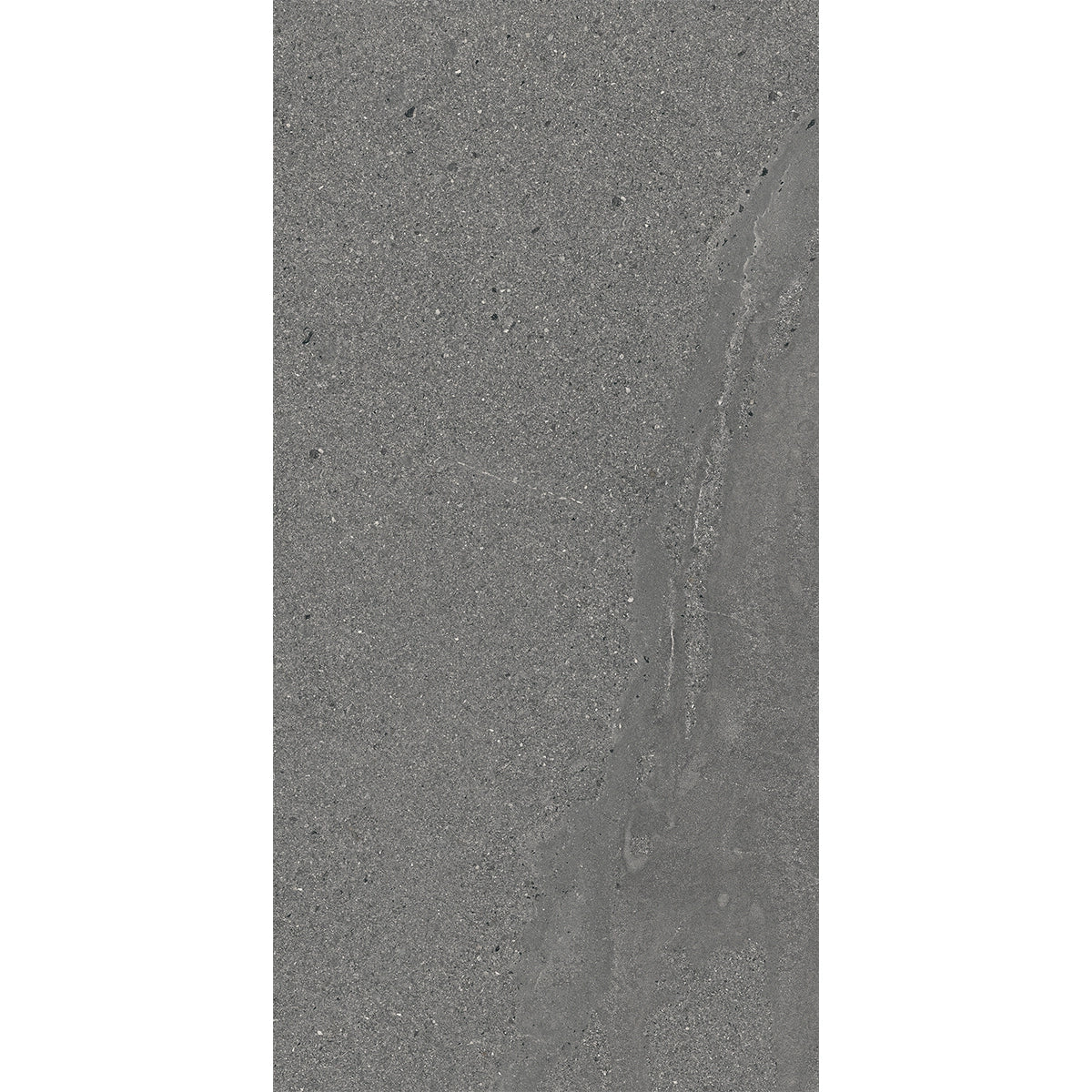Newport Anthracite Concrete Look Porcelain Tile 12x24 | Tile Club