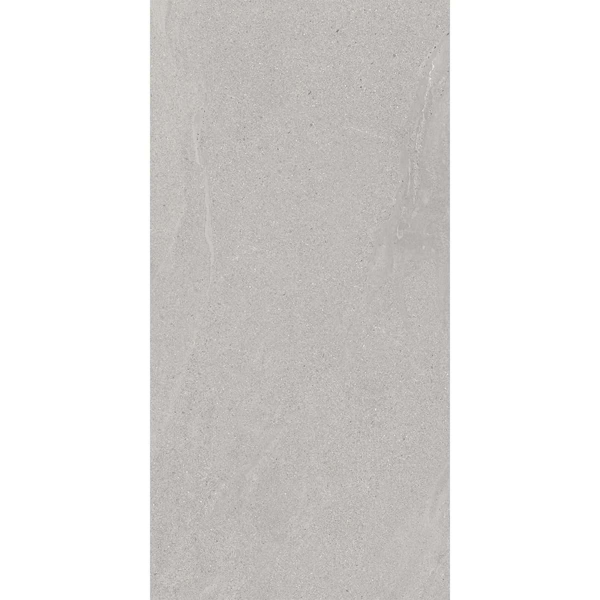 Newport Cold Gray Concrete Look Porcelain Tile 24x48 | Tile Club