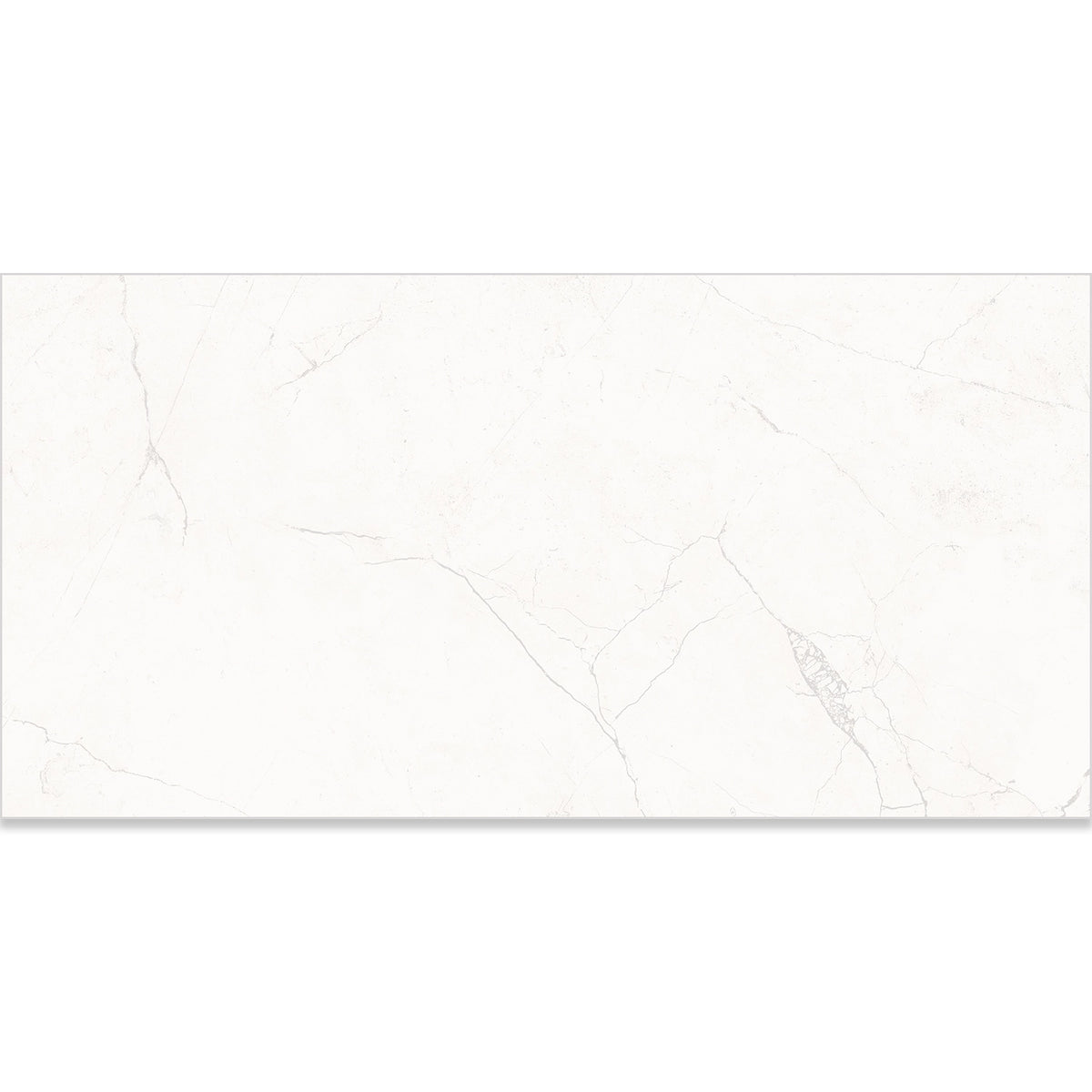 Acadia White Porcelain Tile 12x24 Sample | Tile Club