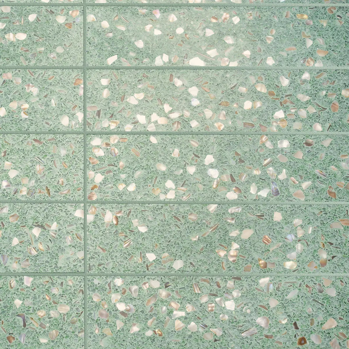 Corazza Tropical Green Shell and Terrazzo Subway Tile | Tile Club