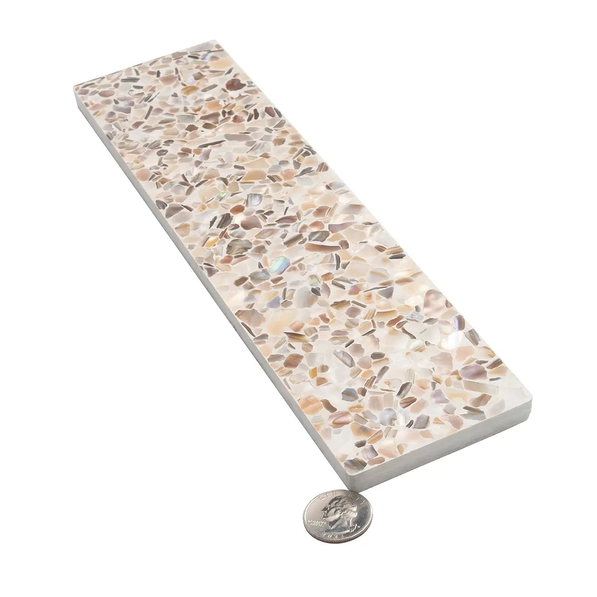 Corazza White Sand Shell and Terrazzo Subway Tile | Tile Club
