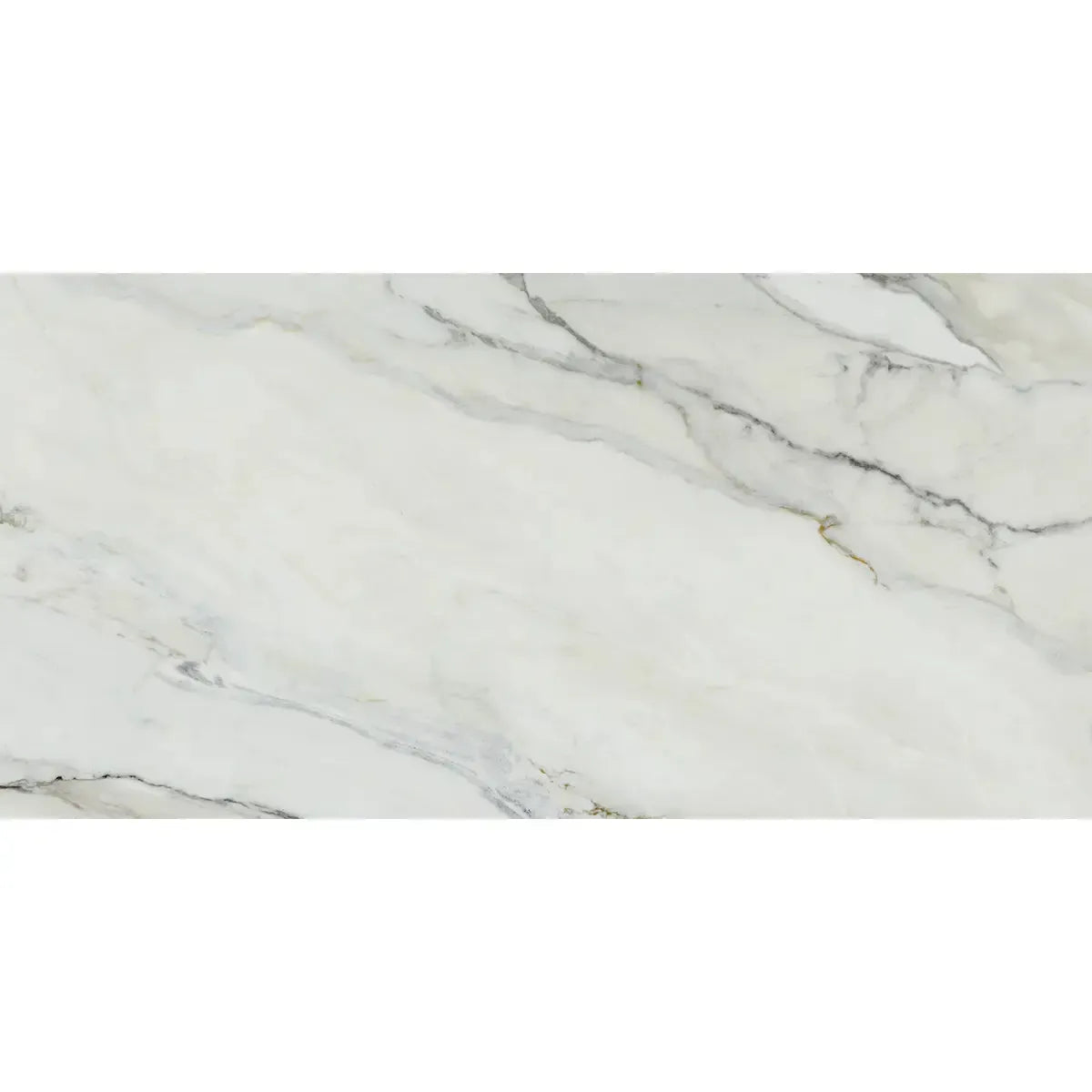 Emporio Arabescato Corchia Polished Porcelain | Large Format Floor TIle