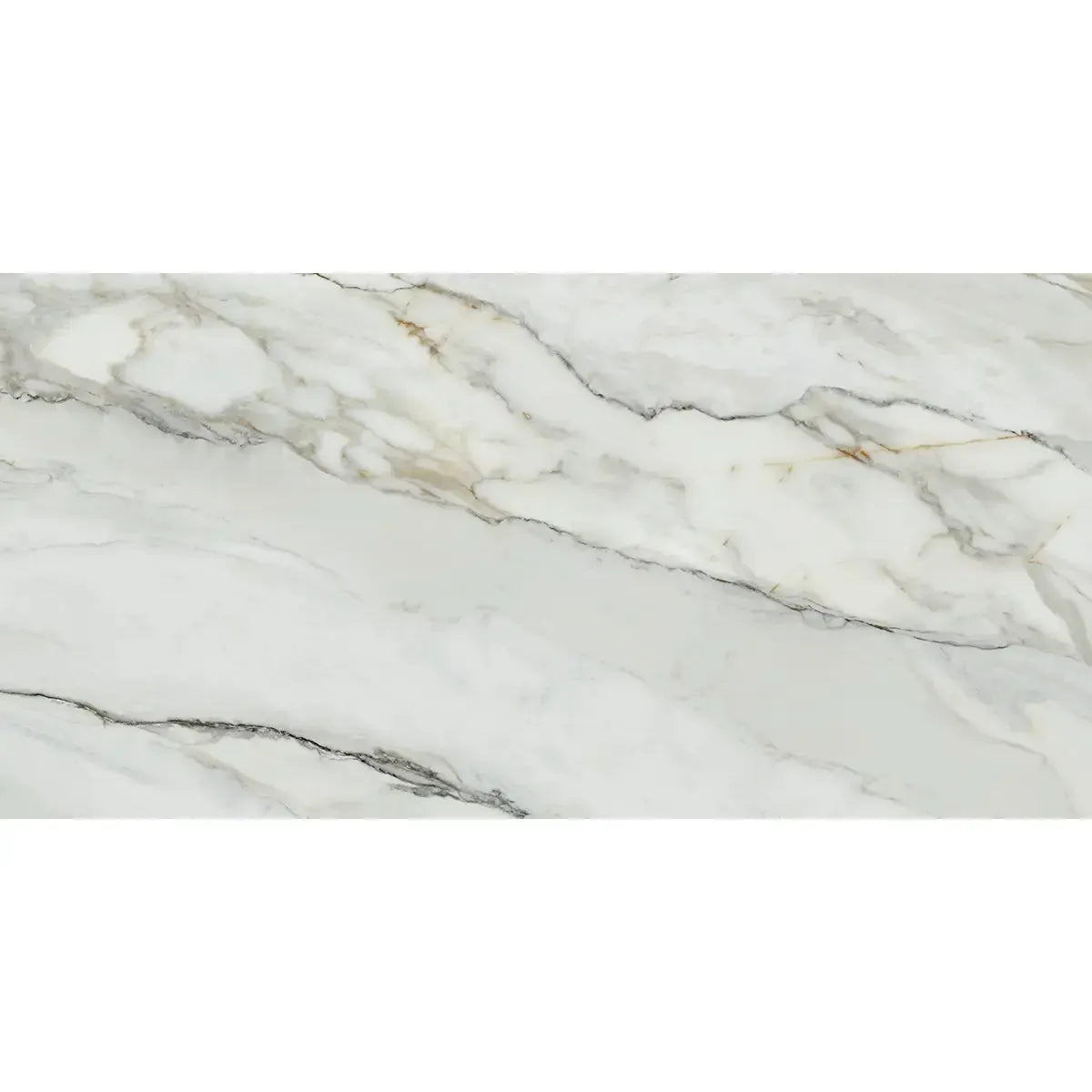 Emporio Arabescato Corchia Matte Porcelain | Large Format Floor Tile