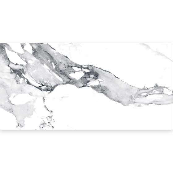 Rectangle Crash Blanco 24x48 Matte Calacatta Porcelain Tile | Happy Floors